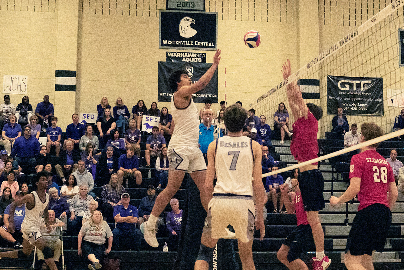 DeSales downs Cardinals to win regional title