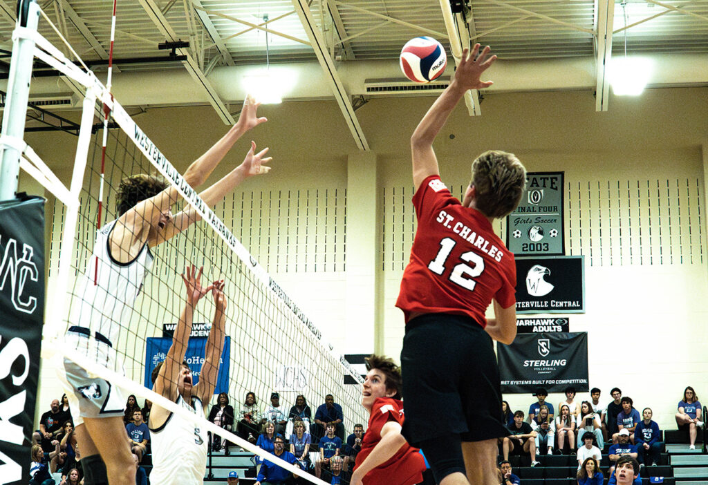 DeSales downs Cardinals to win regional title