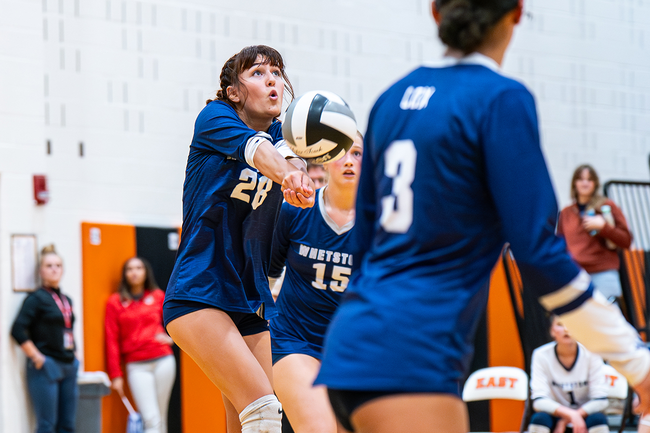 Girls Volleyball: Whetstone captures first City championship since 1992 ...